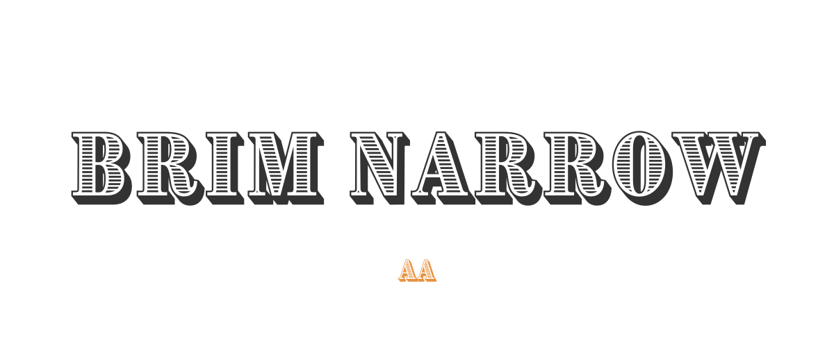 26 Western Canva Fonts That’ll Make Any Cowboy Proud