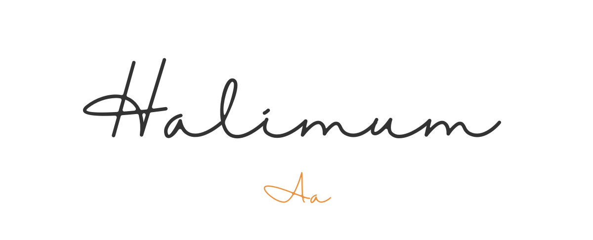 25 Handwriting Canva Fonts to Make Your Designs Breathe
