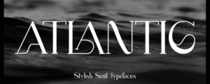 25 Must-have Fonts Every Minimalist Will Love