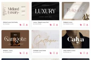29 Elegant Fonts on Canva That’ll Make You Feel Luxurious