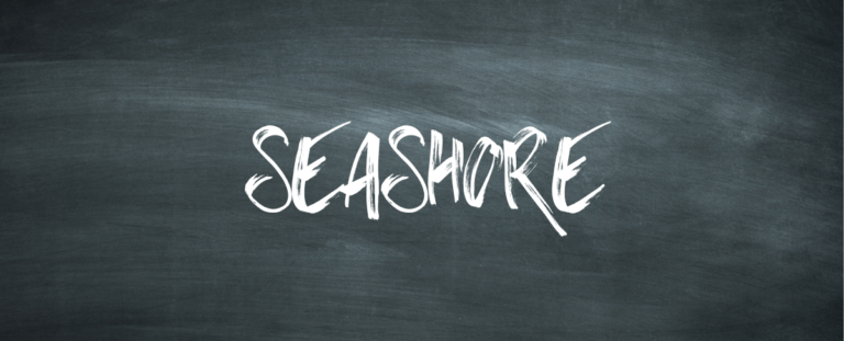 26 Chalk Fonts in Canva, That'll Take You Back to School