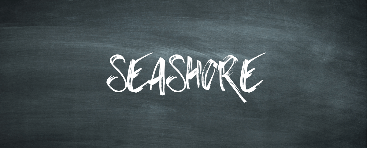 26 Chalk Fonts in Canva, That'll Take You Back to School