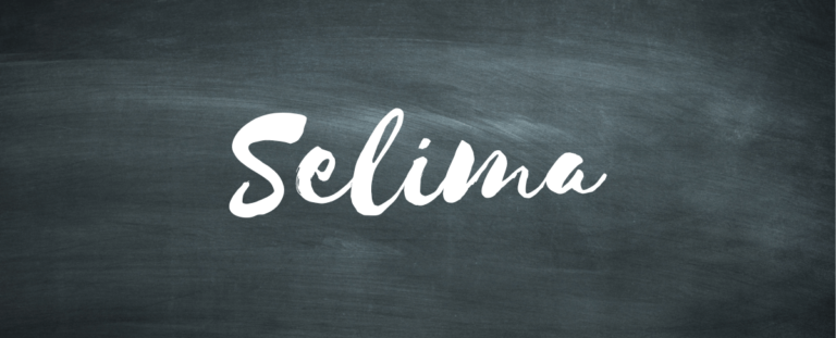 26 Chalk Fonts in Canva, That'll Take You Back to School