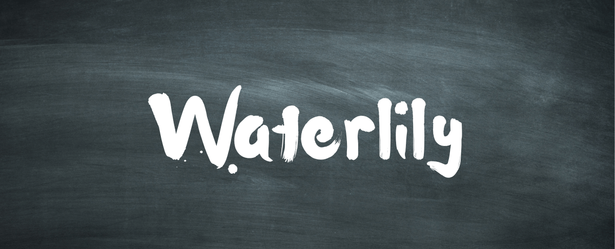 26 Chalk Fonts in Canva, That'll Take You Back to School