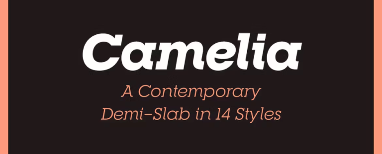 24 Magazine Fonts That Will Add Flair to Your Publication
