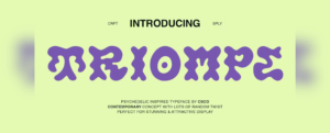 24 Psychedelic Fonts That Turn Your Designs Into a Visual Trip