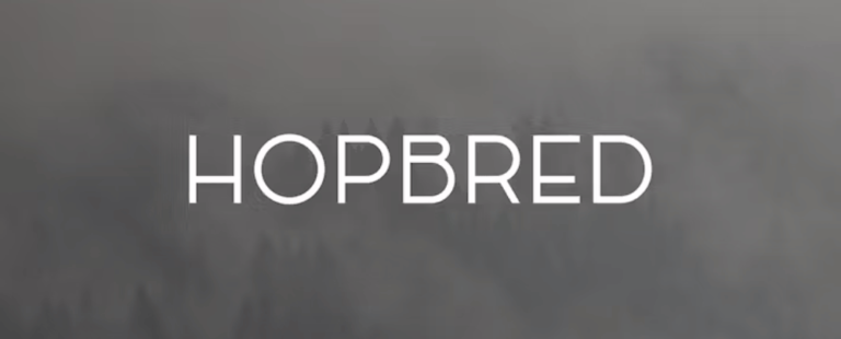 27 Fonts for Architecture Portfolio That Complement Your Vision