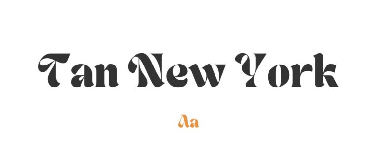 21 Newspaper Canva Fonts That Make Every Headline Pop