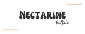 23 Best Canva Font Combinations And Font Pairings