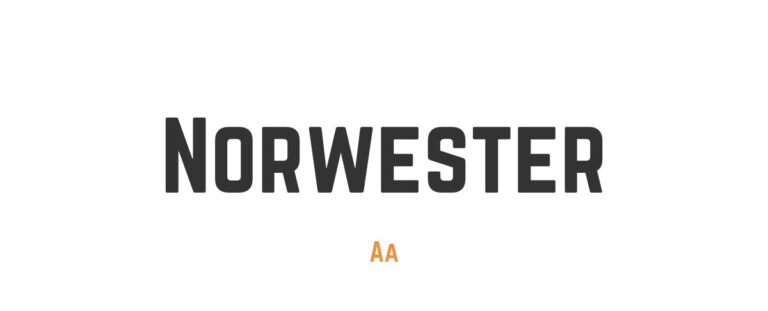 21 Canva Collegiate Fonts That Capture University Essence