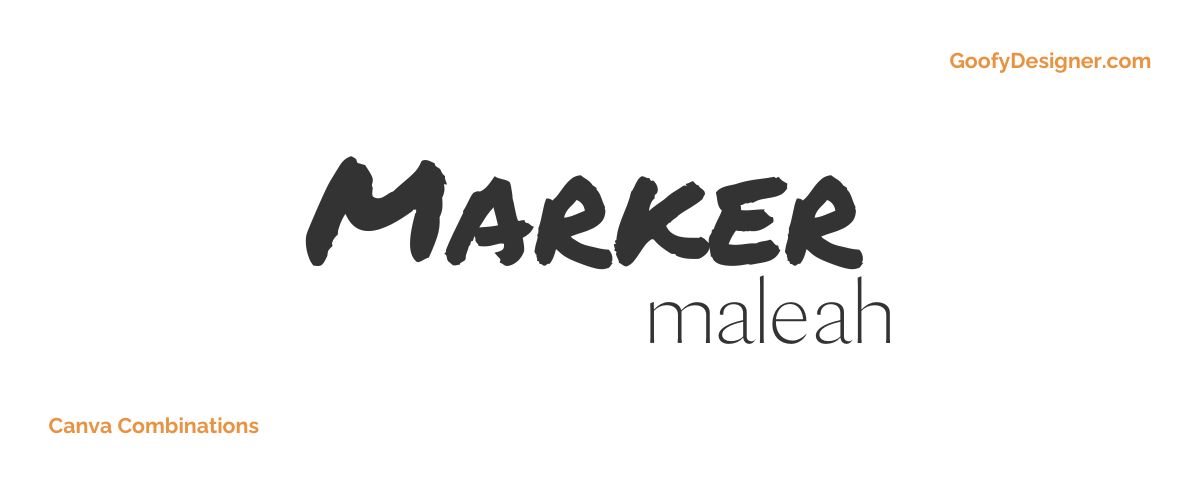 23 Best Canva Font Combinations And Font Pairings