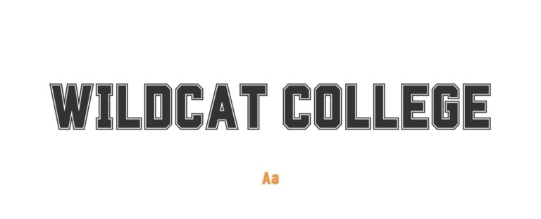 21 Canva Collegiate Fonts That Capture University Essence