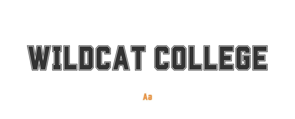 21 Canva Collegiate Fonts That Capture University Essence
